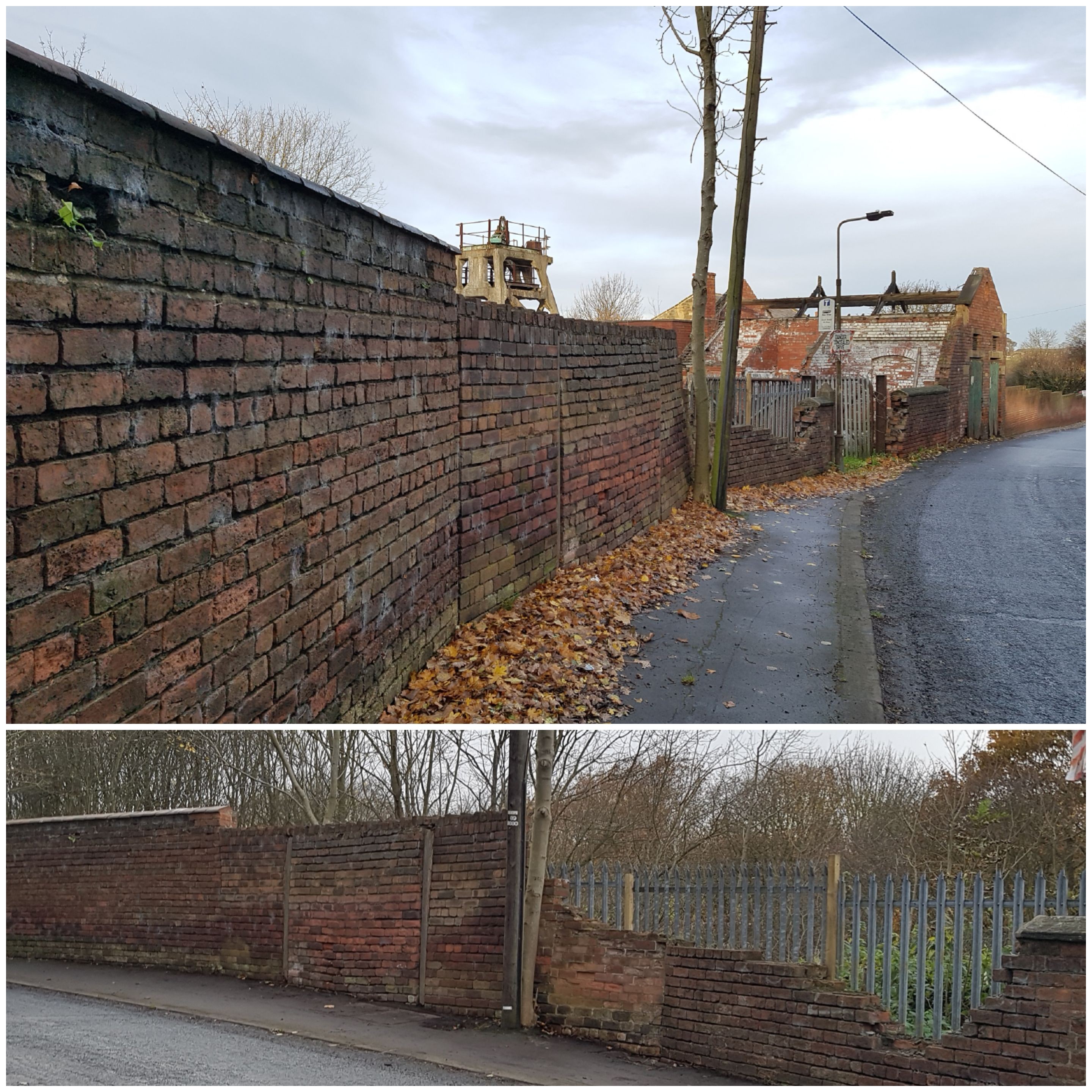 Autumn falls; rising hope | Friends of Hemingfield Colliery