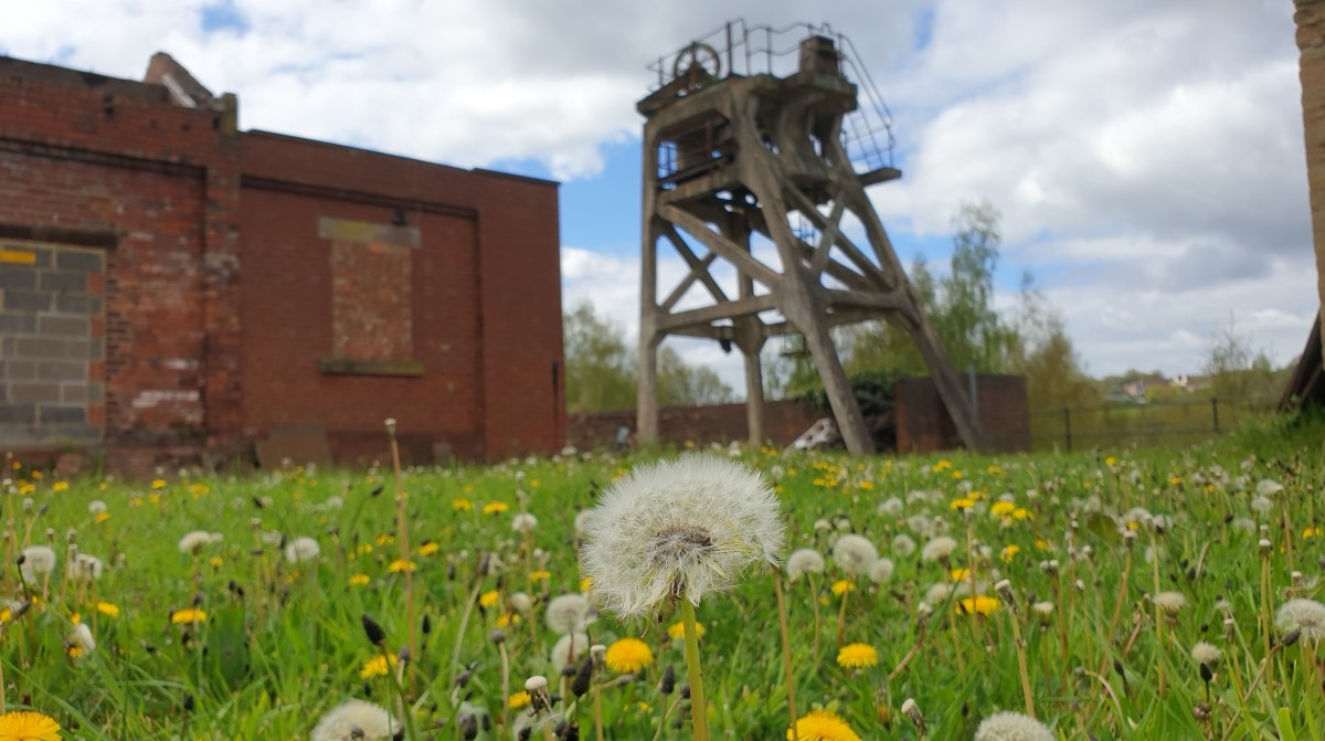 Open days and open minds in April, 2023 | Friends of Hemingfield Colliery